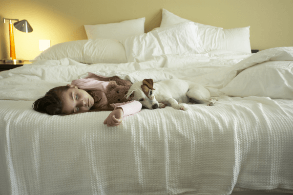 2 Stage vs Variable Speed AC - AirAce Heating & Cooling